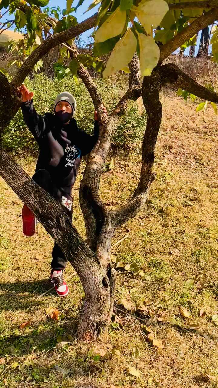 justhavefun... | KREAM