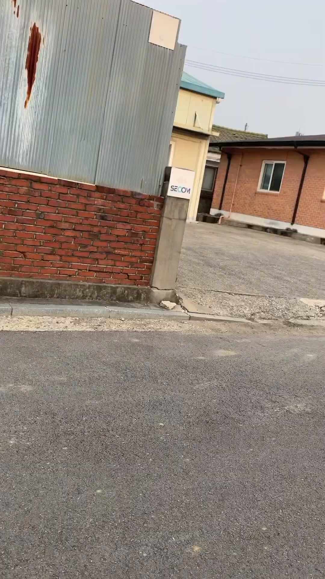 자주 신는 로미오 뮬 👣 | KREAM