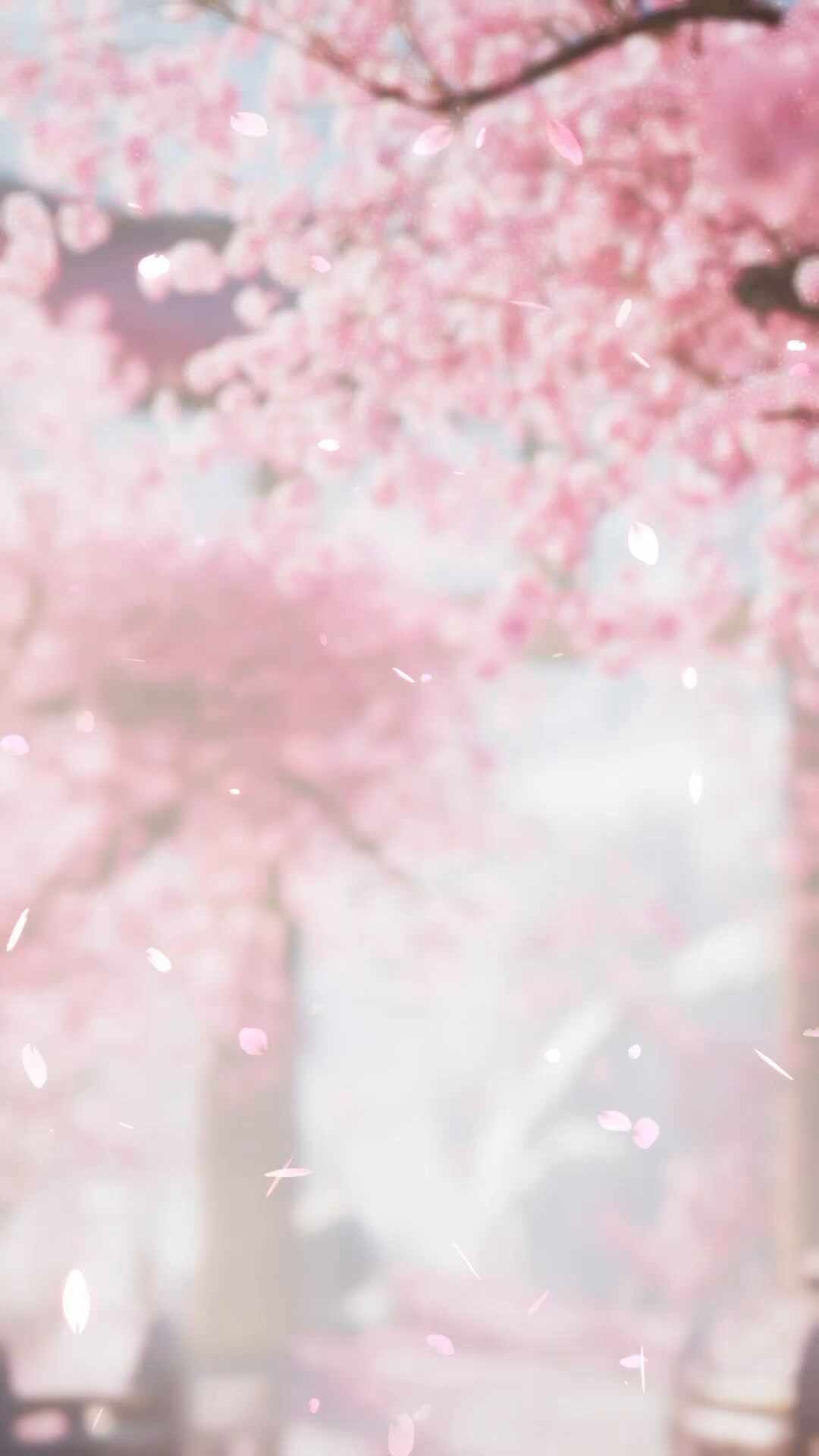 KREAM (@kream) 님의 게시물 | KREAM