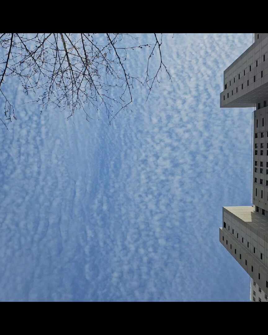 Nike V2K Run White Fir STYLE | KREAM