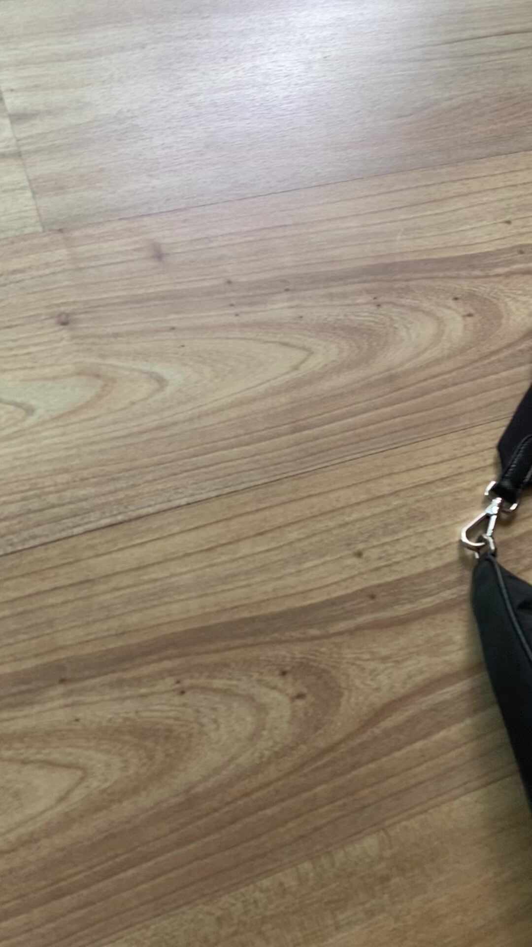 Prada Re-Edition 2005... STYLE | KREAM