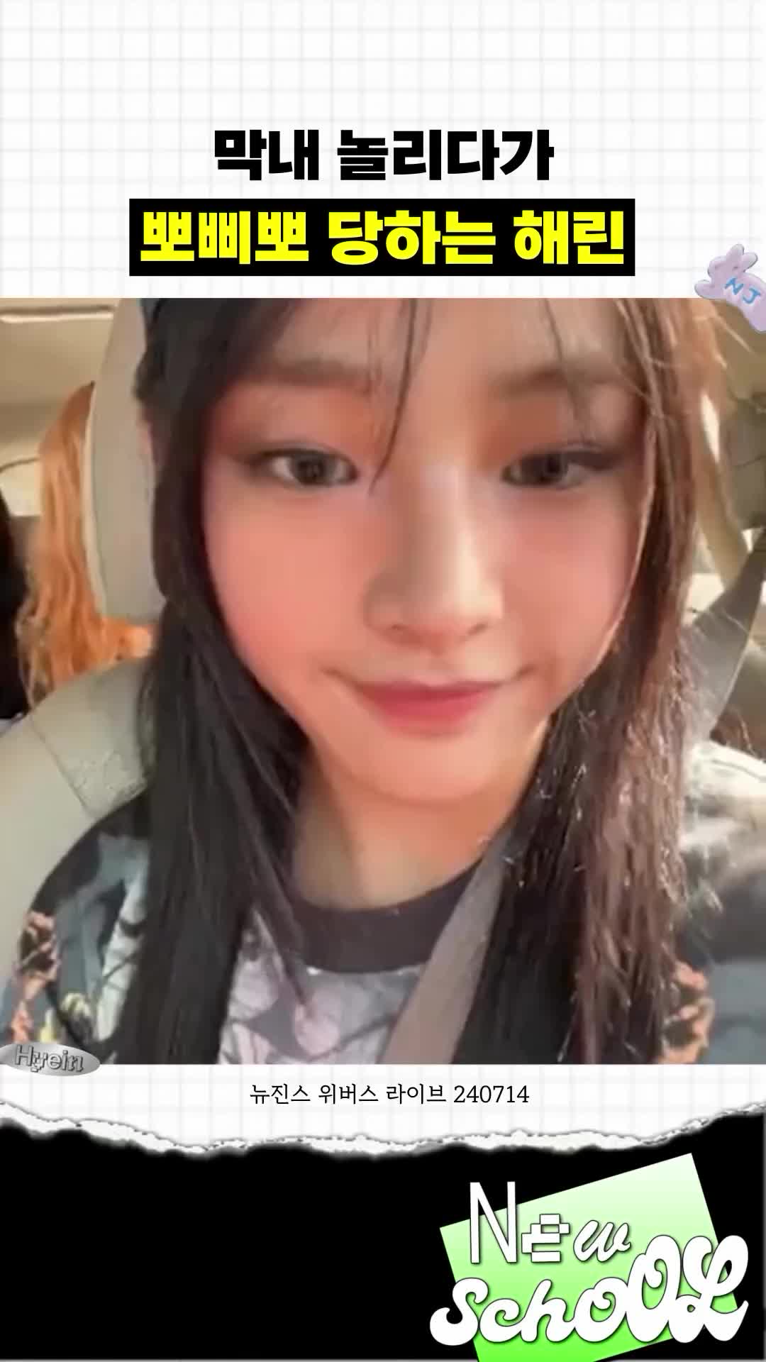 주접떠는 강고양이 ㅋㅋㅋ | KREAM