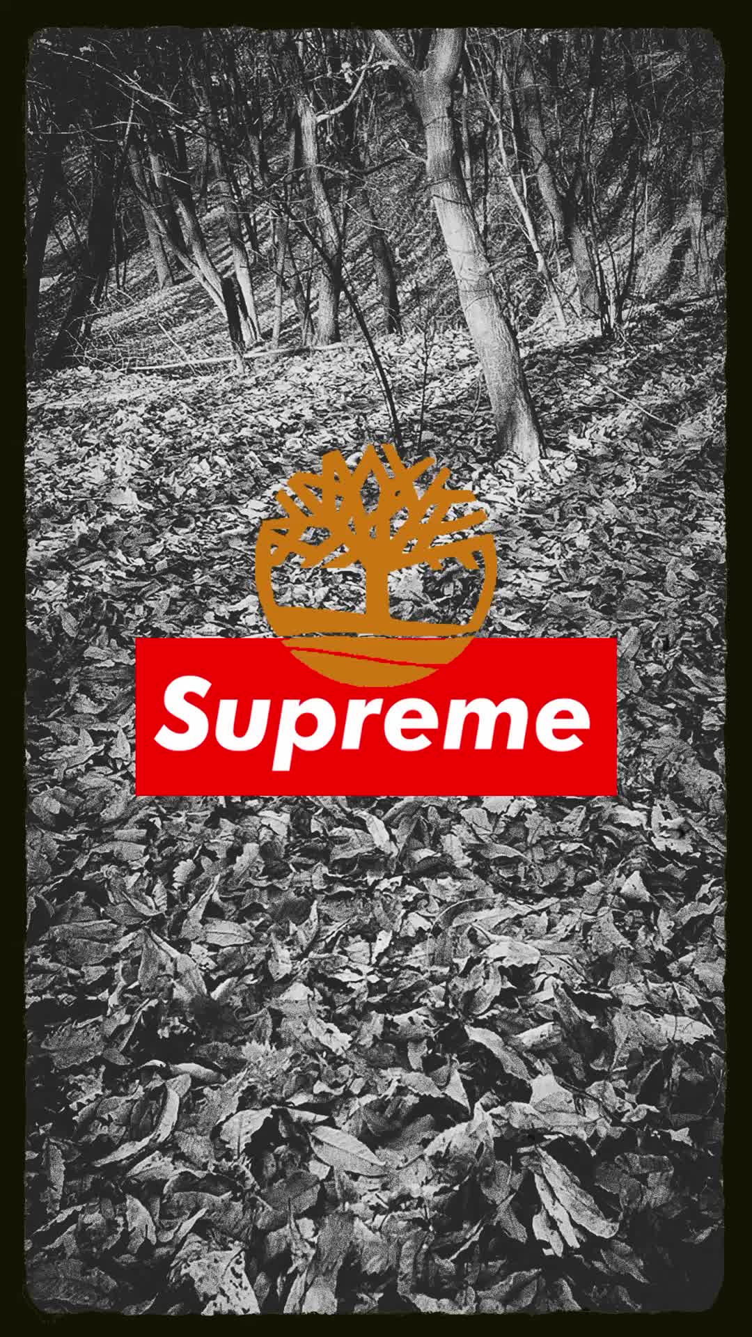 Supreme x Nike ACG Be... STYLE | KREAM