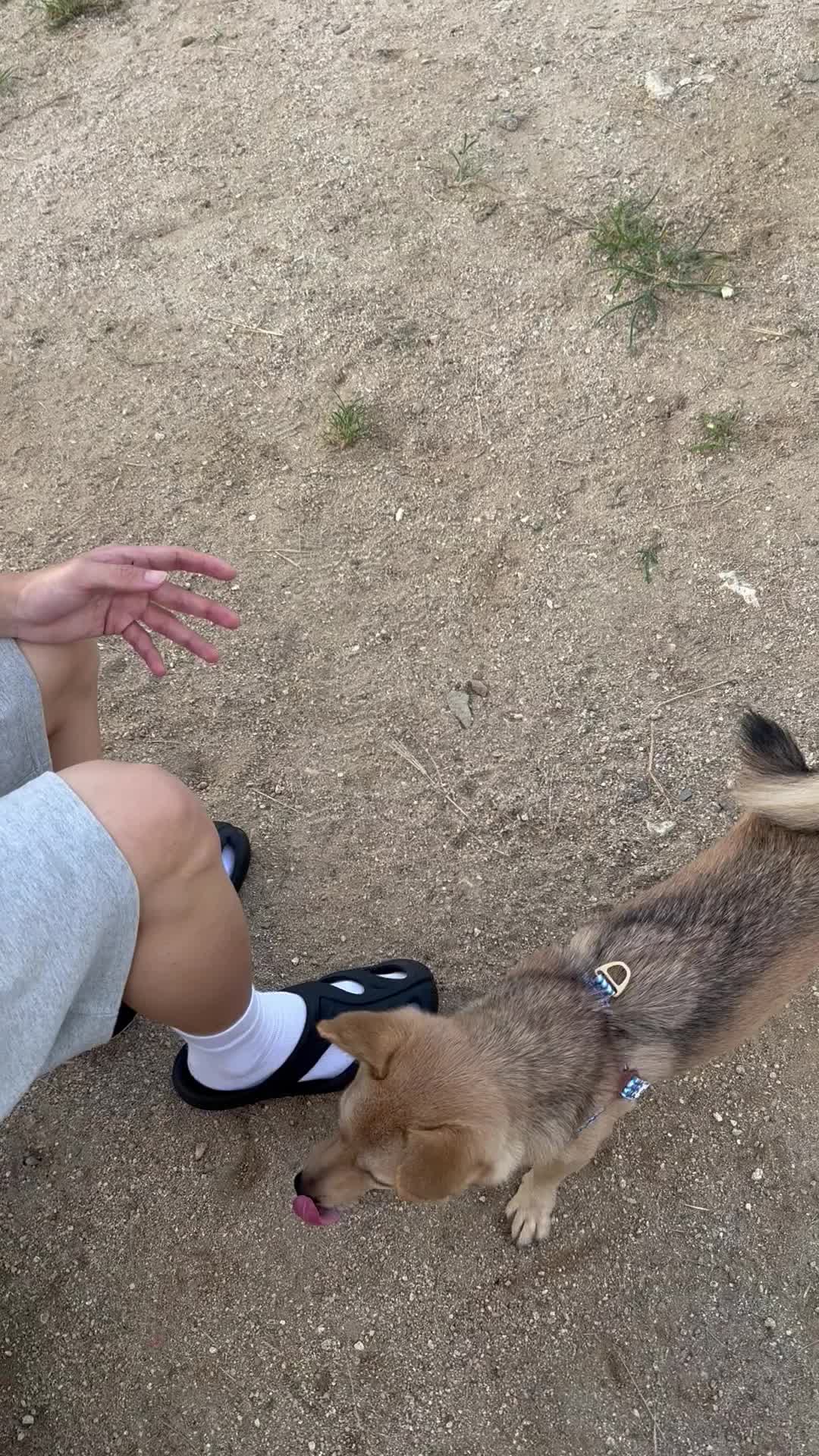 전문기 (@moon_hl) 님의 게시물 | KREAM