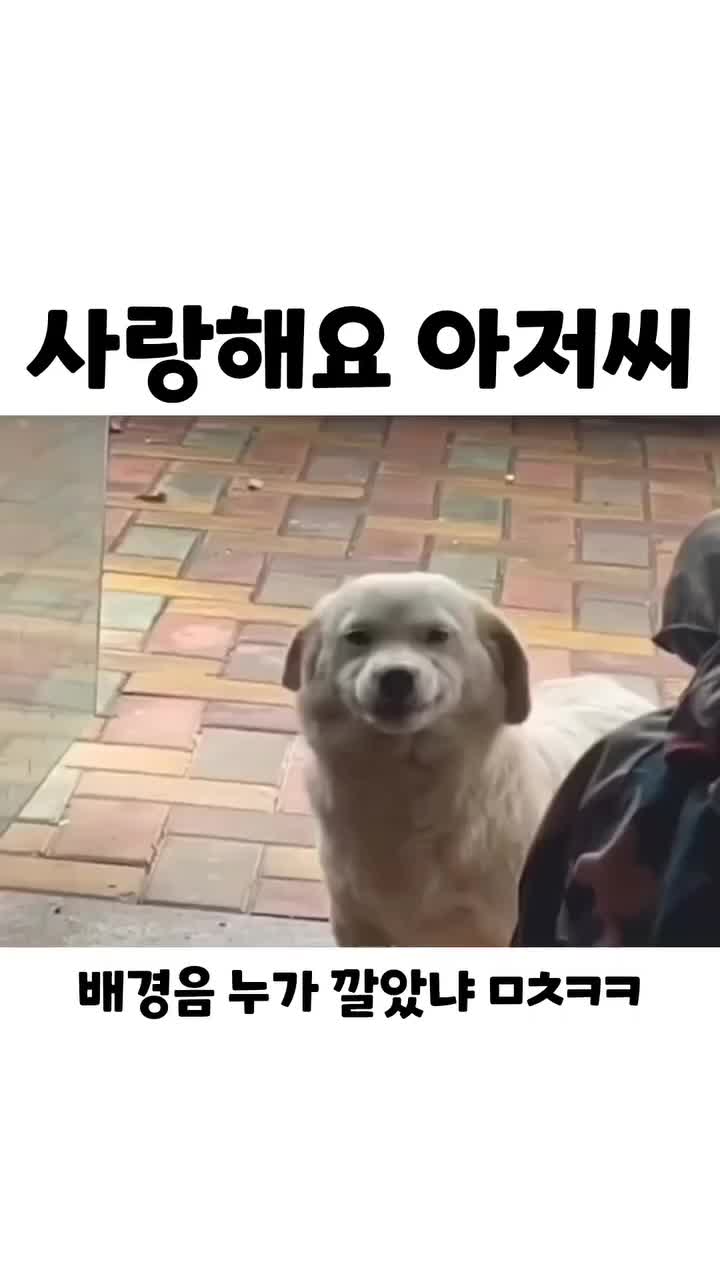 도깨비 개.ver ㅋㅋㅋㅋㅋㅋㅋ | KREAM