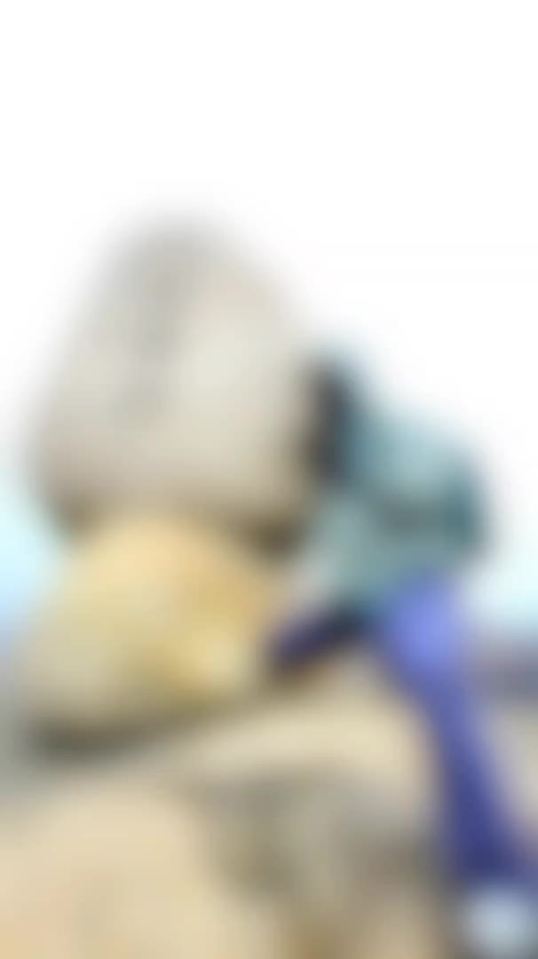 카이저소제 (@renew_me) 님의 게시물 | KREAM