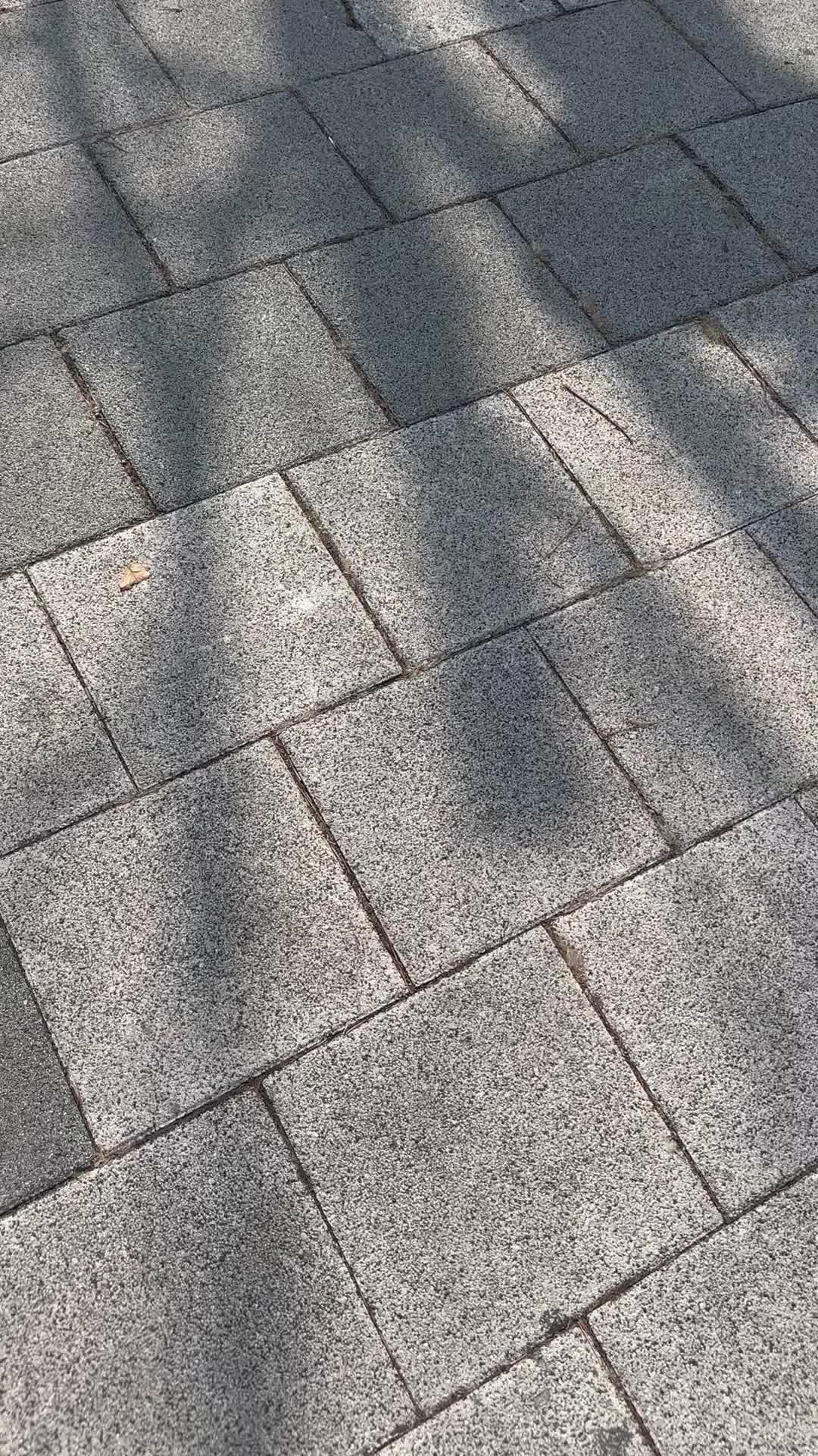 ekehfflrl (@no.7kante) 님의 게시물 | KREAM