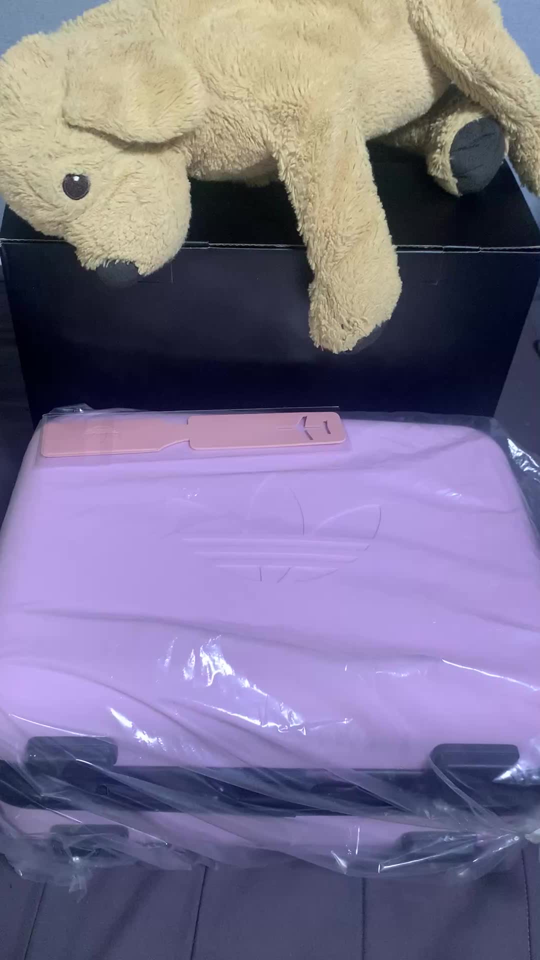 kk (@h_kyo) 님의 게시물 | KREAM