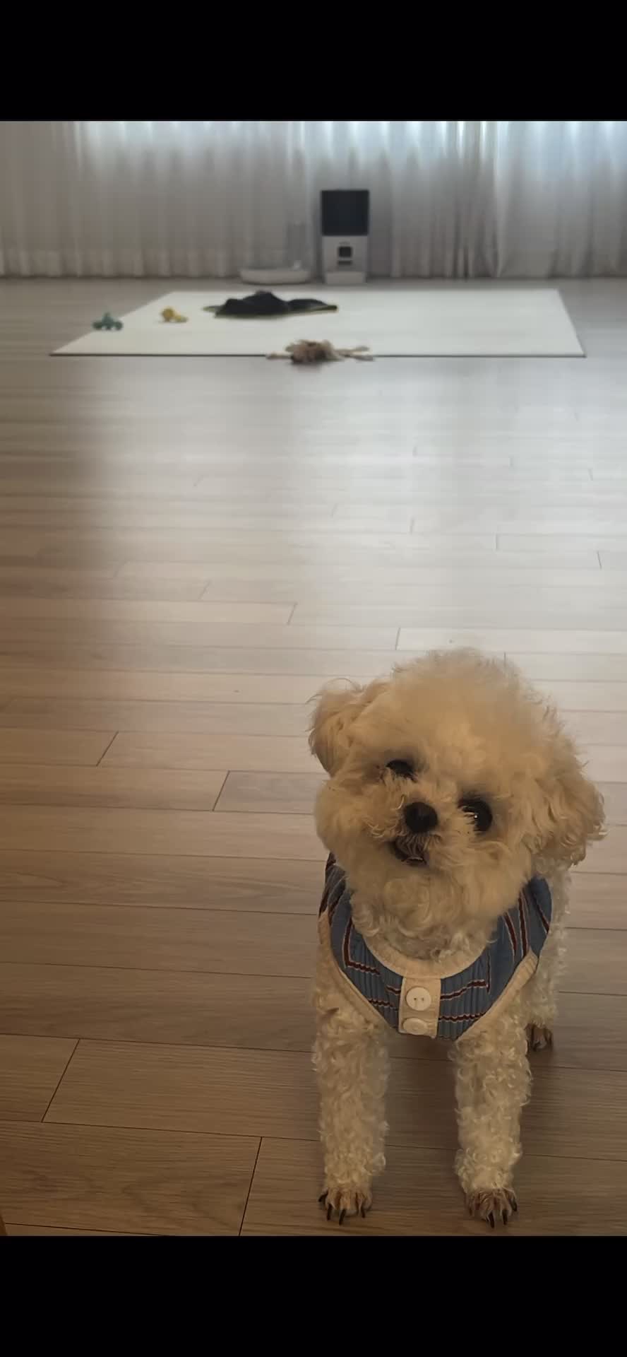 똥쓰 (@na_huya) 님의 게시물 | KREAM