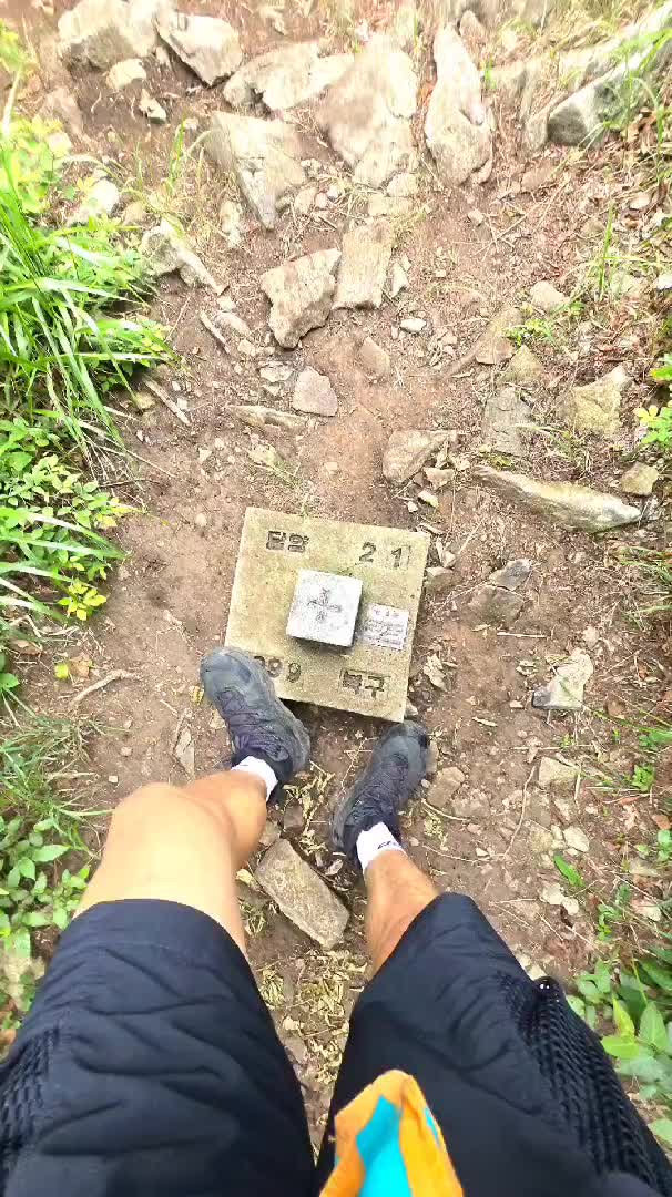 카이저소제 (@renew_me) 님의 게시물 | KREAM