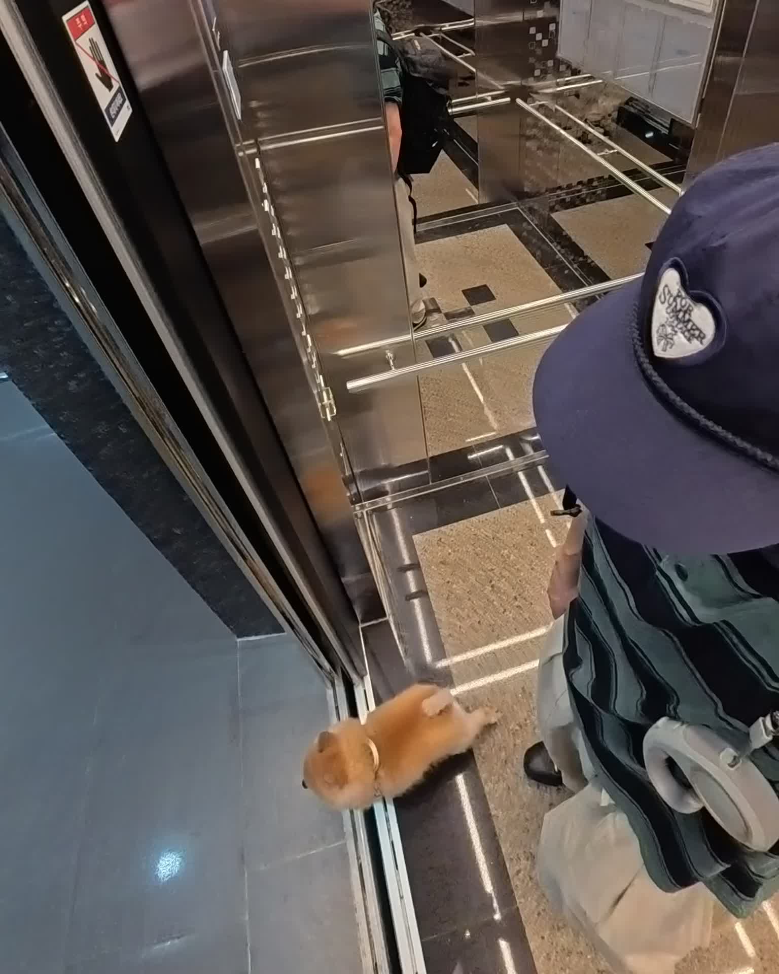 캐주얼동그리 (@dong__415) 님의 게시물 | KREAM